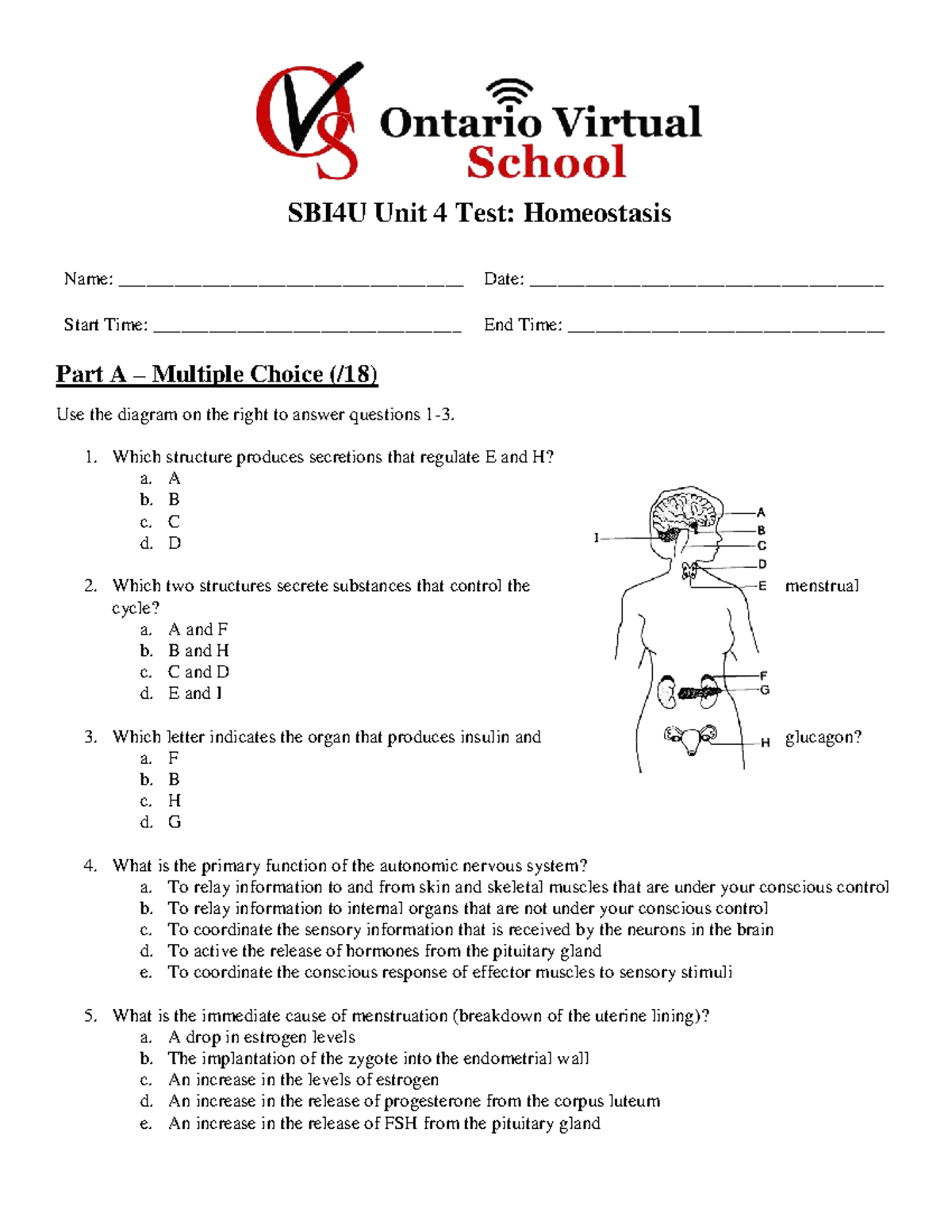 SBI4U Unit 4 Test: Homeostasis Review and Answer Guide - Studocu