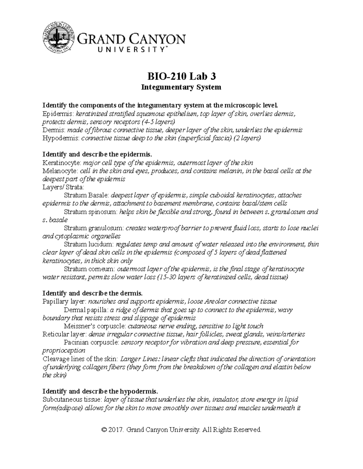BIO-210 Lab 3: Integumentary System Components & Functions - Studocu