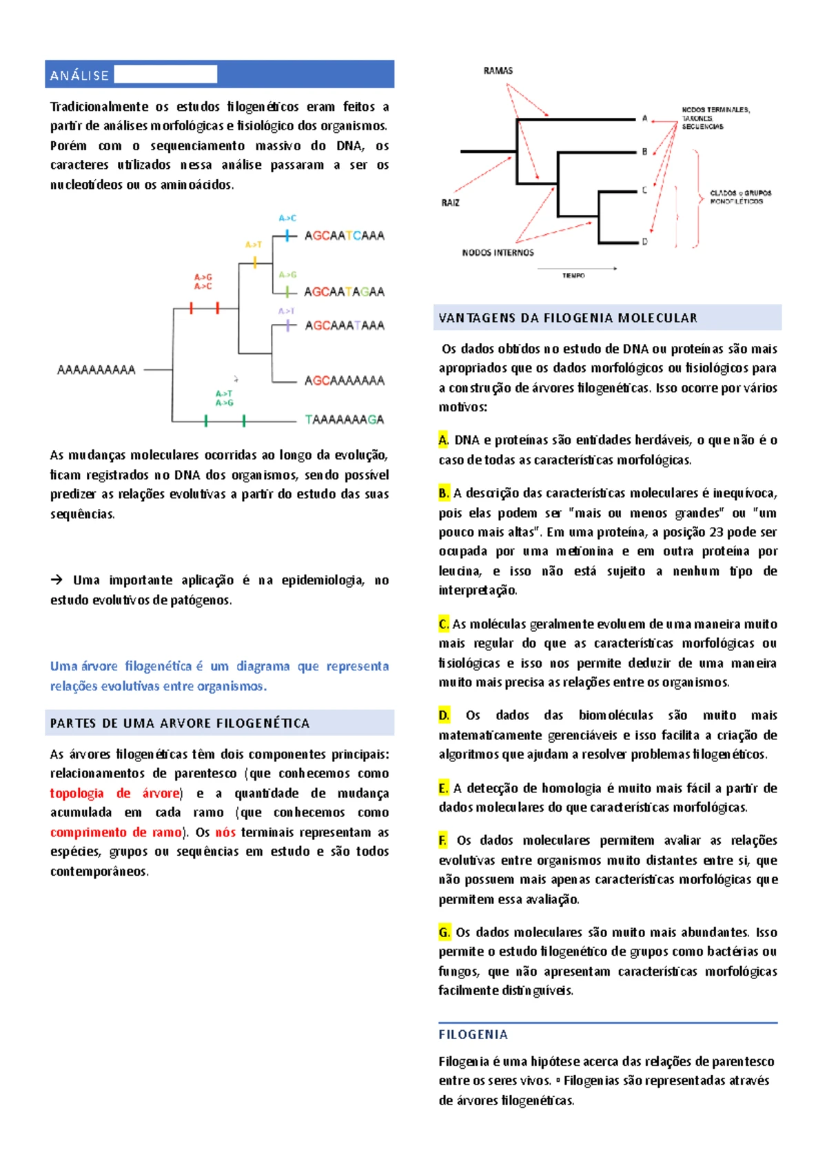 Alinhamento de sequencias - ALINHAMENTO DE SEQUÊNCIAS CONCEITO BIOLÓGICO: é a forma de ...