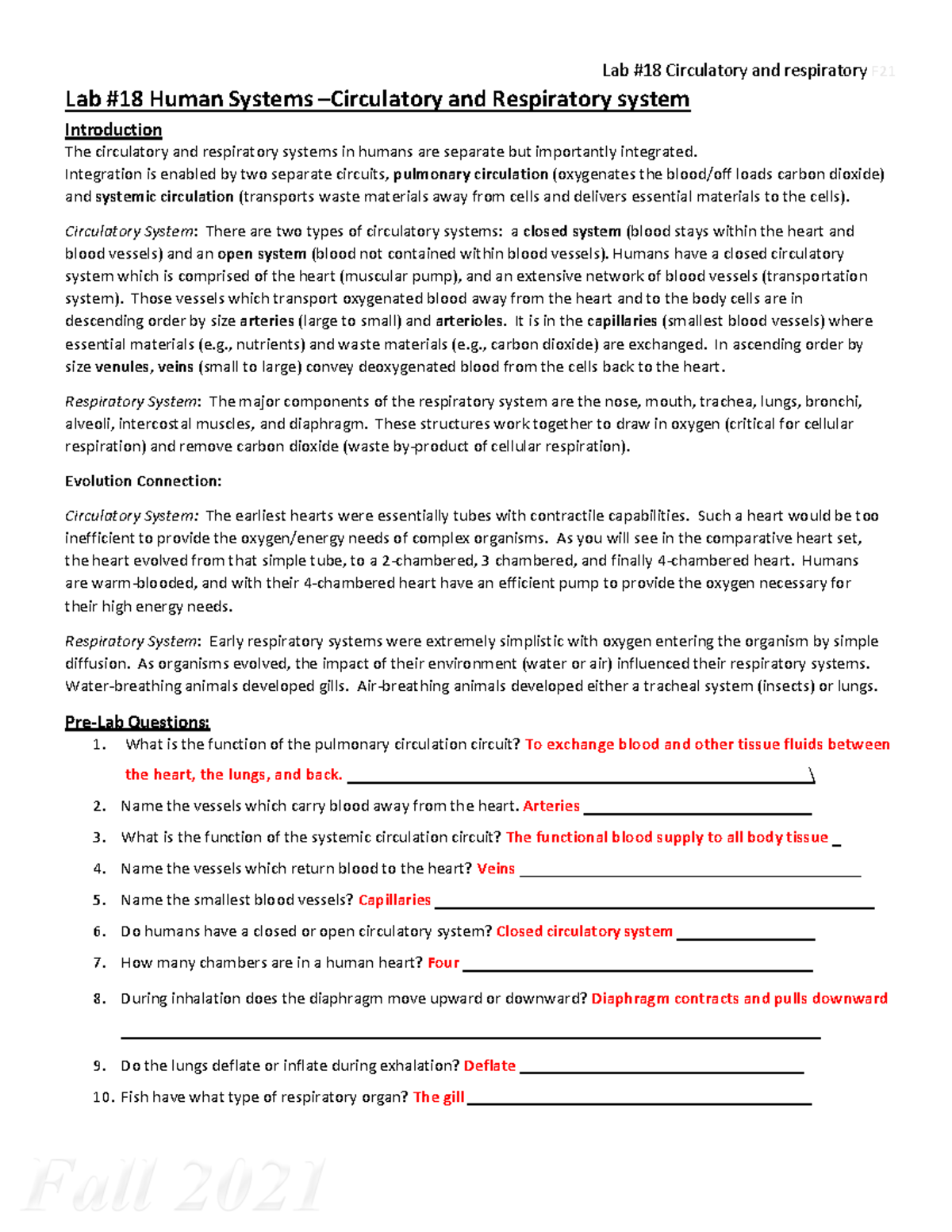 Lab #18: Integrating Circulatory and Respiratory Systems in Humans ...