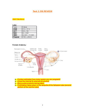 Prenatal Care - ATI TEMPLETE - ACTIVE LEARNING TEMPLATES Nursing Skill ...