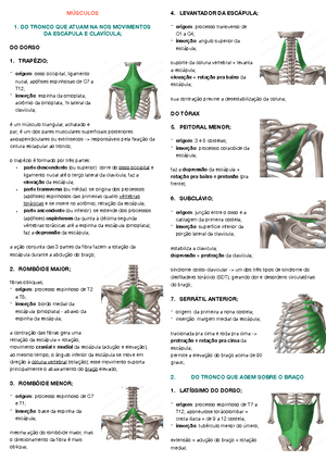 Reflexo - Resumo acadêmico - REFLEXO 1) Compreender como funciona o ato ...