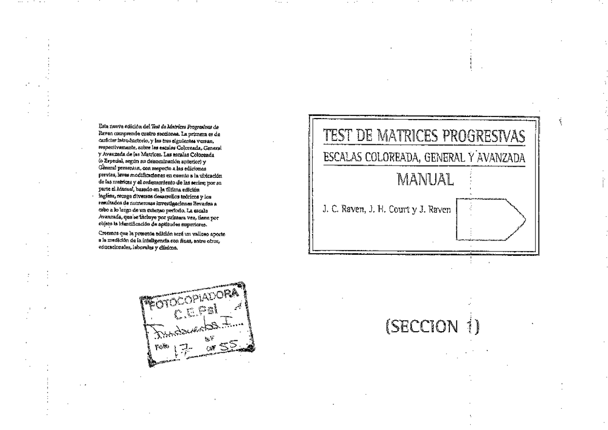 17. J,C Raven ( manual ) TEST DE Matrices Progresivas - Fundamentos ...