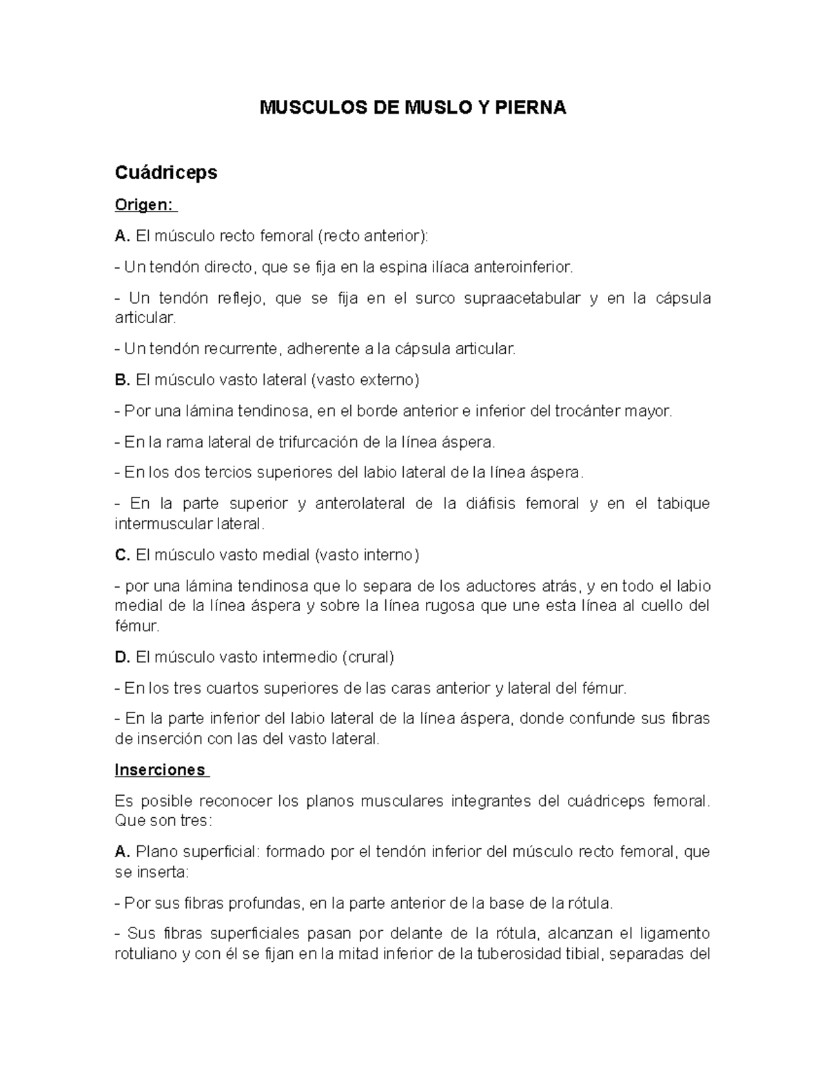 Musculatura del Muslo y Pierna: Origen, Inserción y Acción detallada ...