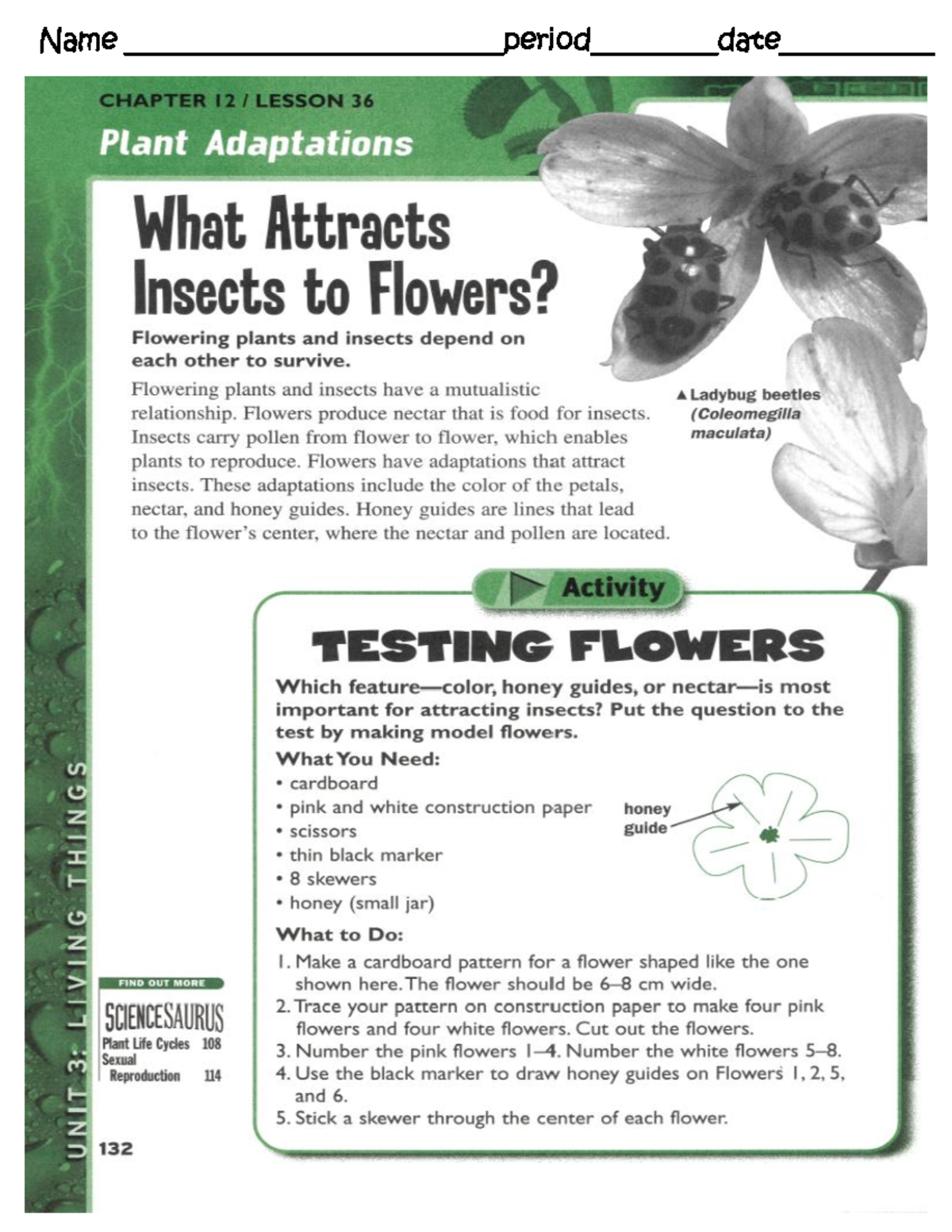 CHAPTER 12 LESSON 36: Plant Adaptations & Insect Attraction - Studocu