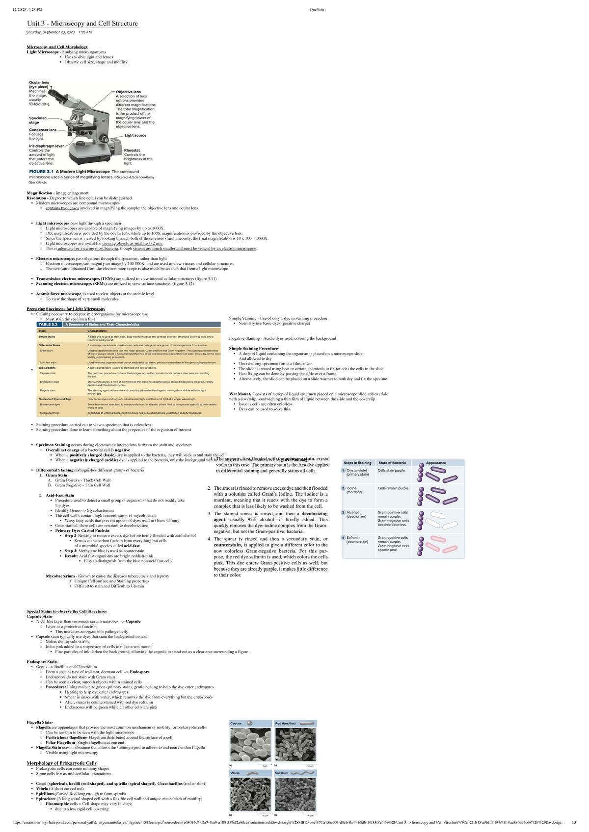 Unit 3: Microscopy and Cell Structure Lecture Notes - Studocu