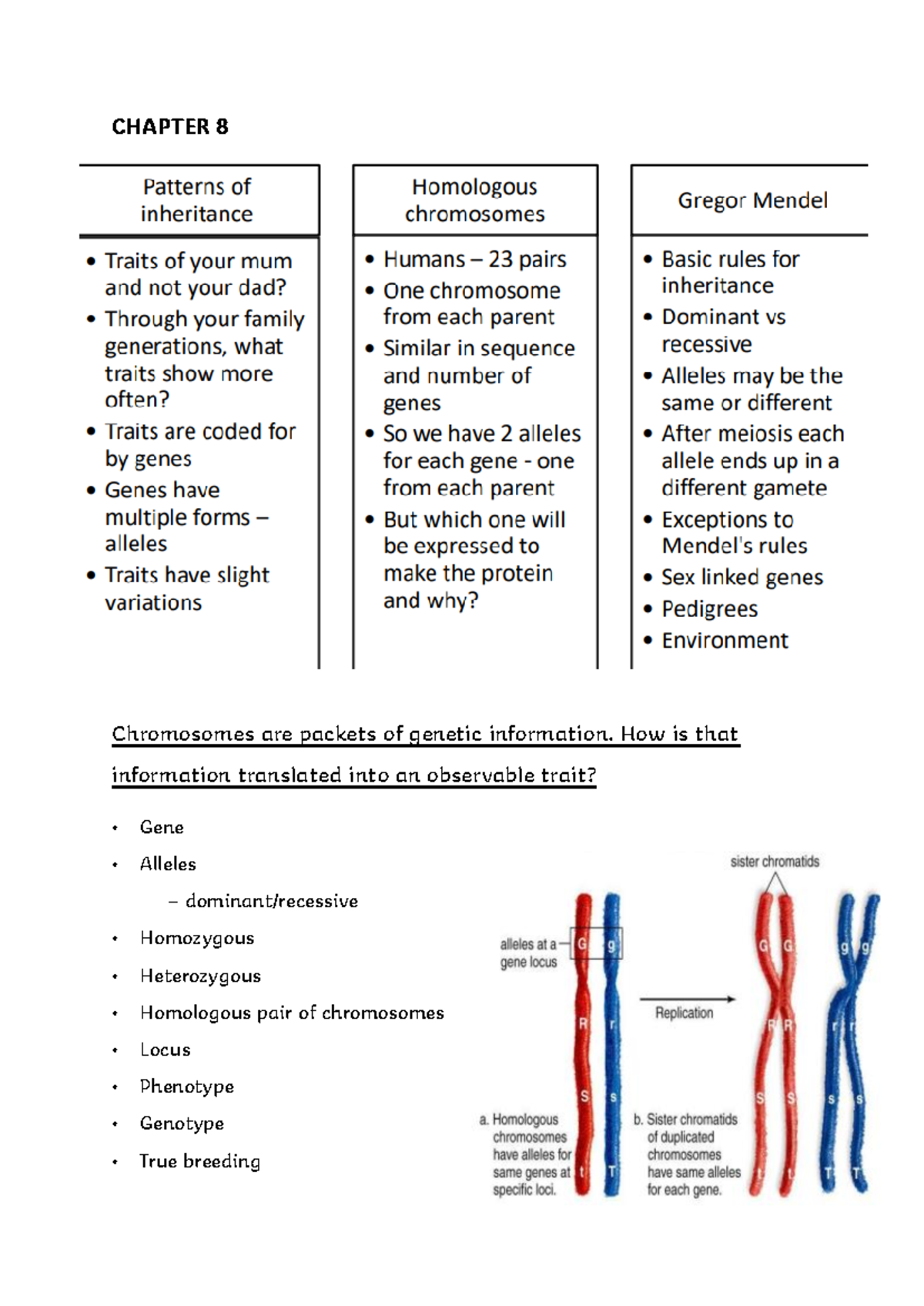 Mendelian Genetics Review Notes - BIO101: Chromosomes & Traits ...