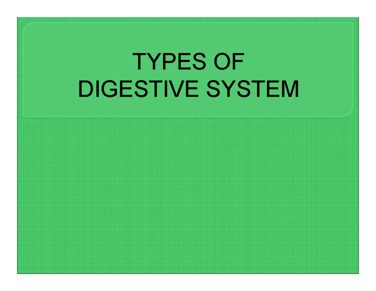 Types of digestive system - TYPES OF DIGESTIVE SYSTEM Examples: dogs ...