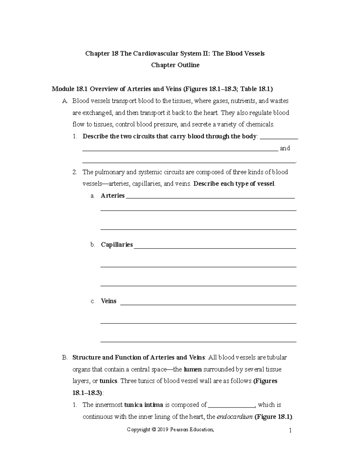Chapter 18: Understanding Blood Vessels in the Cardiovascular System ...