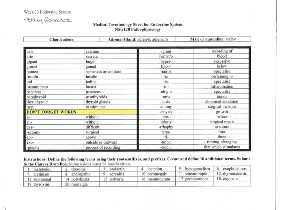 Medical Terminology Sheet For Endocrine System - Create and define 10 ...