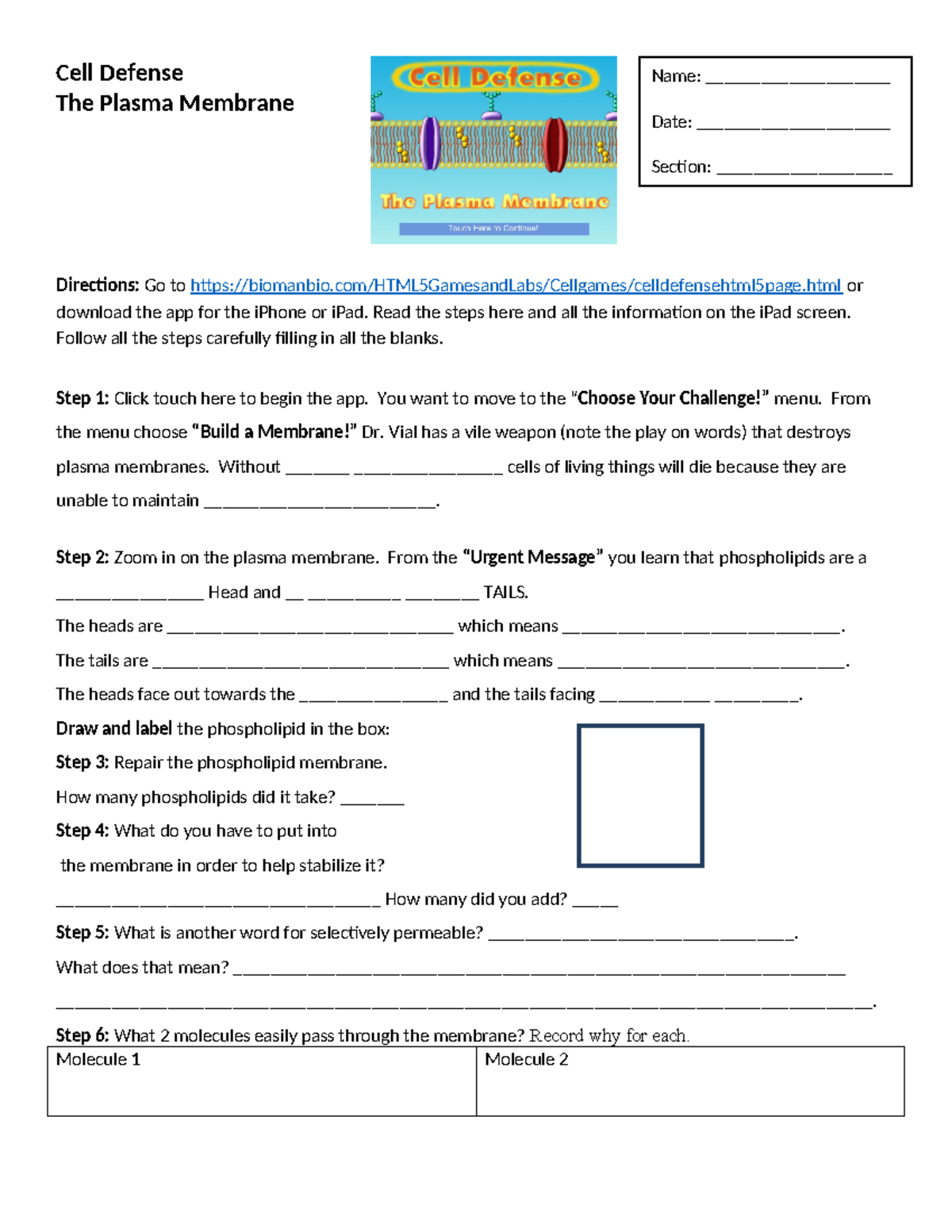 Cell Membrane Activity - Cell Defense The Plasma Membrane Directions ...