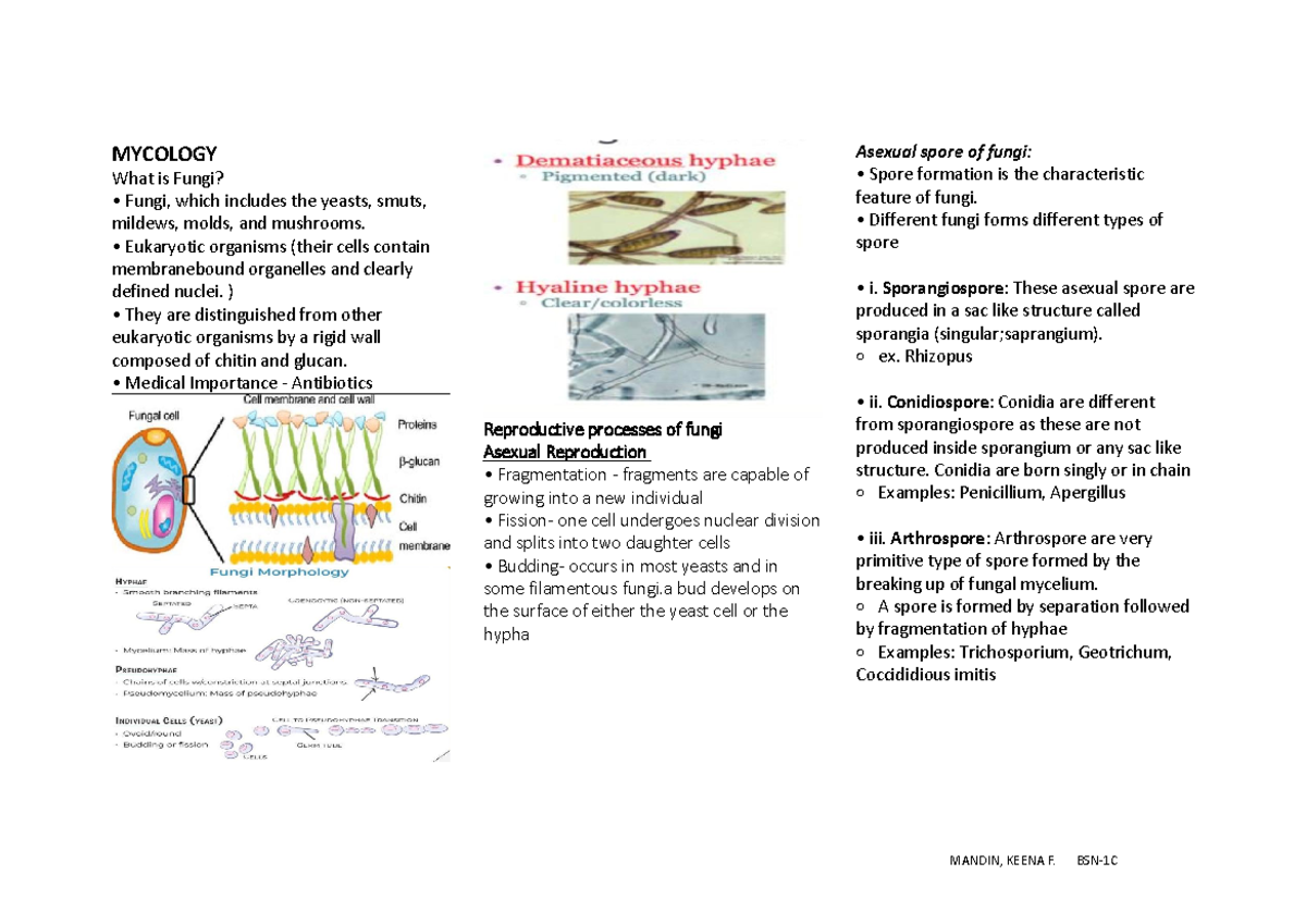 Final Review Notes for Micropara LAB (MYCOLOGY & NEMATODES) - Studocu
