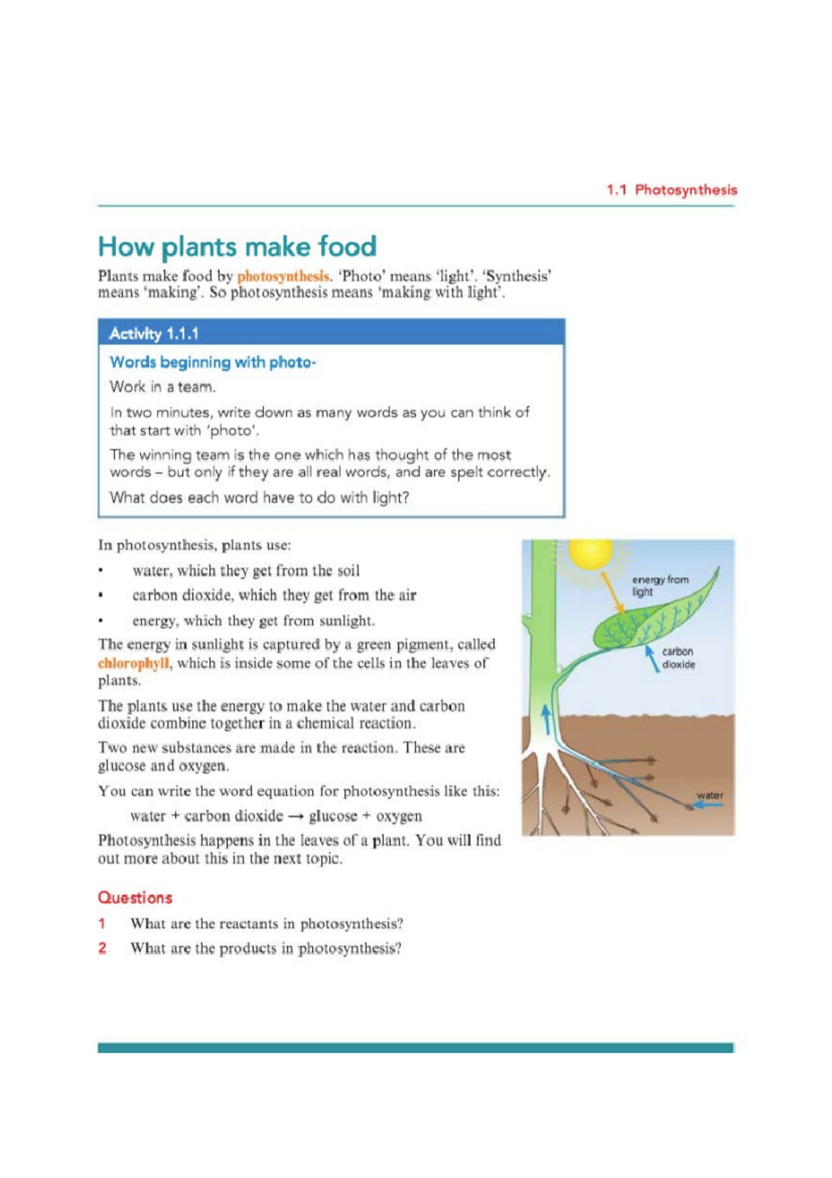 Bio1 - Photosynthesis: How Plants Make Food and Its Process - Studeersnel