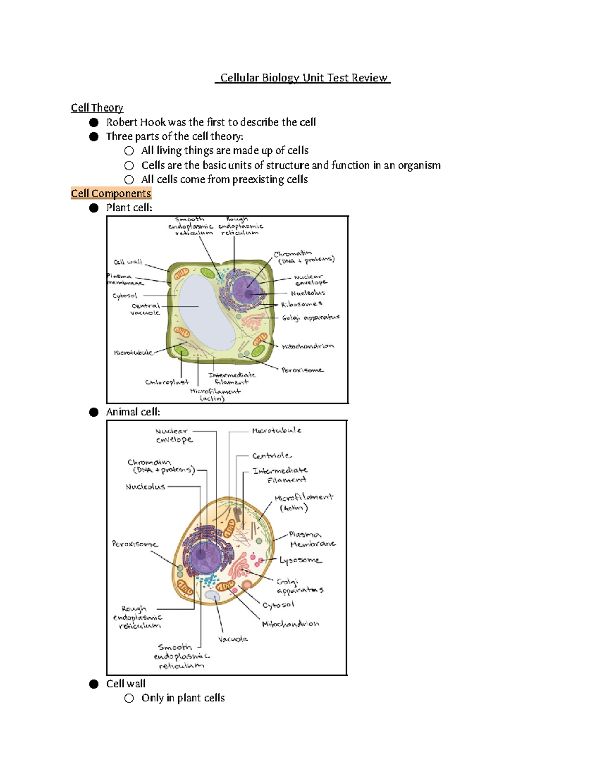 Cellular Biology Unit Test Review: Key Concepts & Diagrams - Studocu