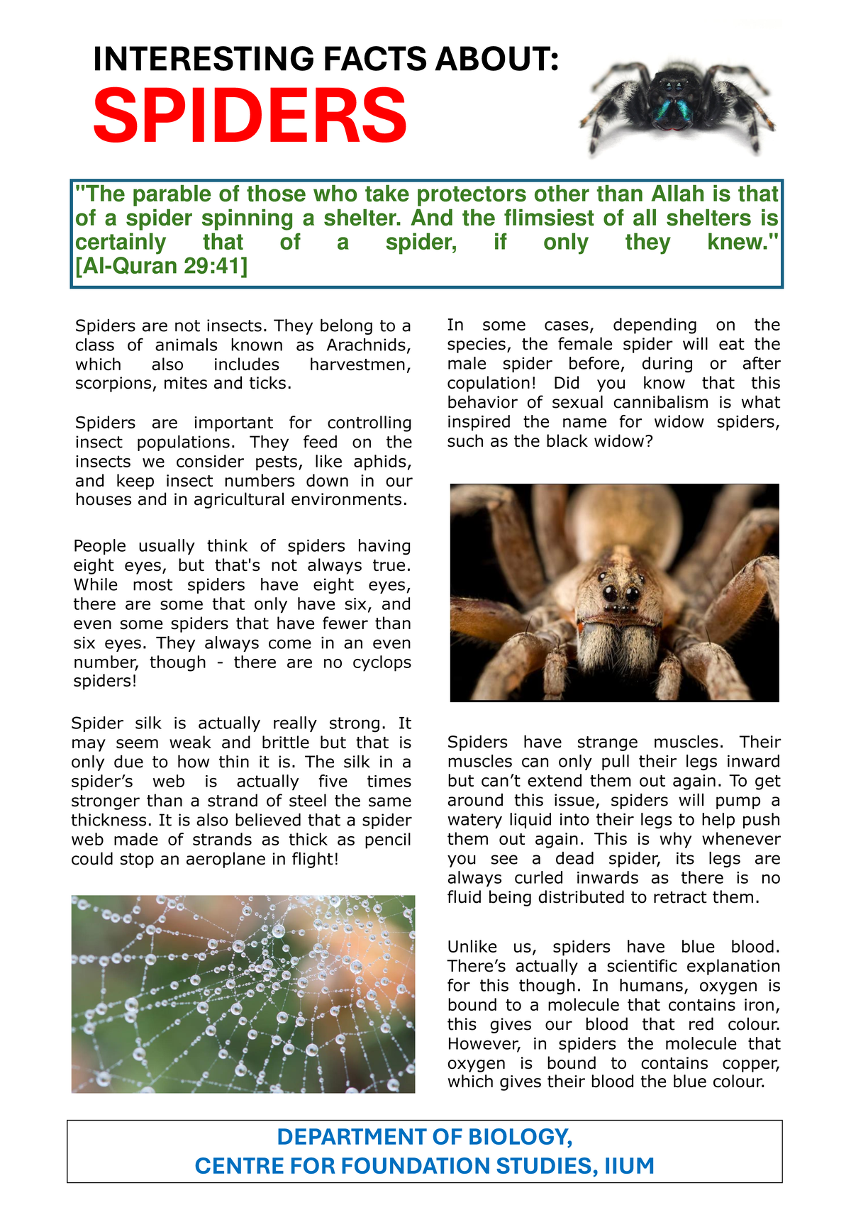 Interesting Facts About Spiders - BIO101 Lecture Notes - Studocu