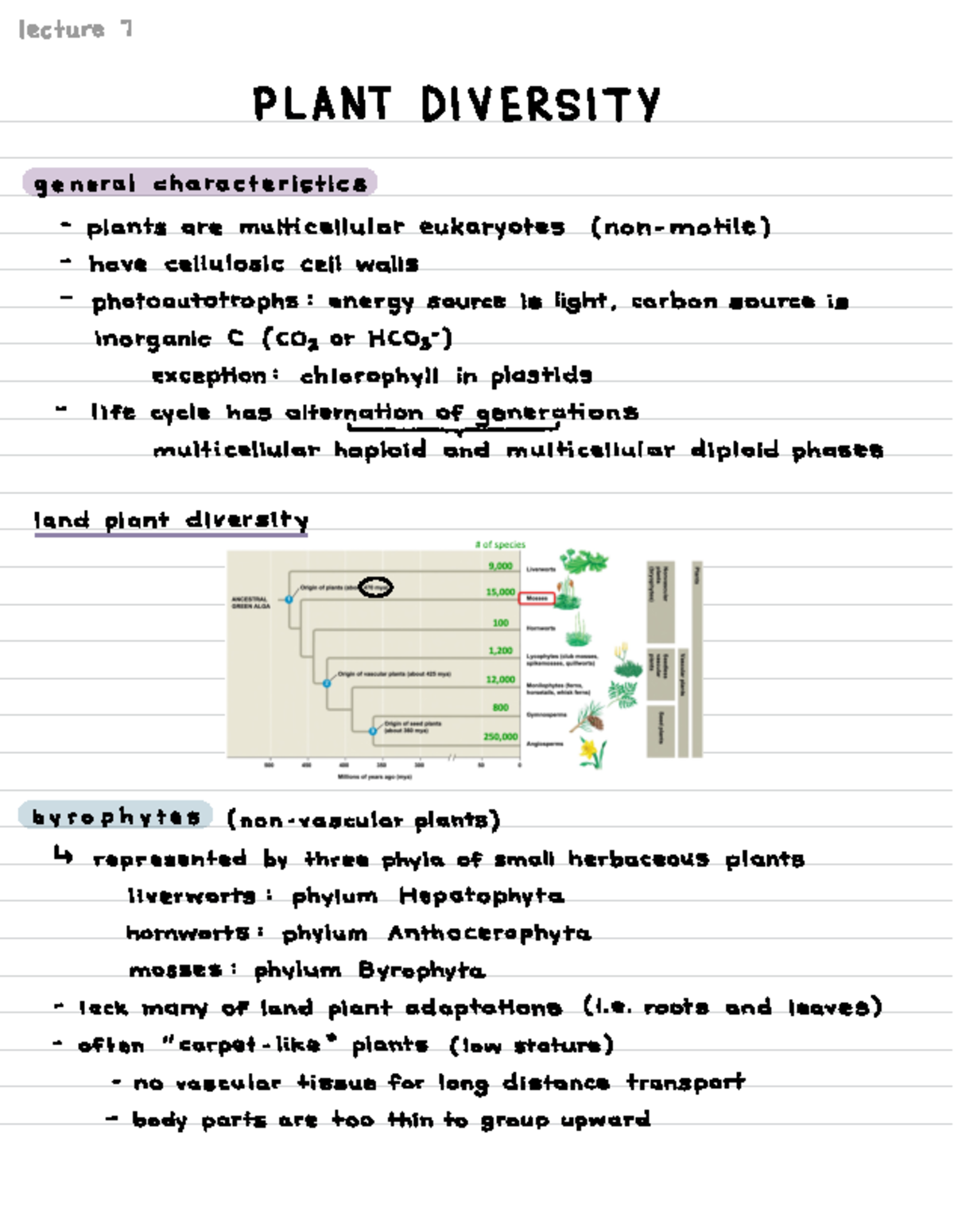 Plant Diversity Lecture Notes - Course Code PLNT101 - Studocu