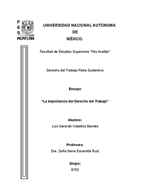 4.- Mapa Relación Individual del Trabajo - LEY FEDERAL DEL TRABAJO Generalidades La relación de ...