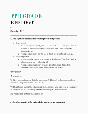 Photosynthesis review packet complete w answers - answer key ...