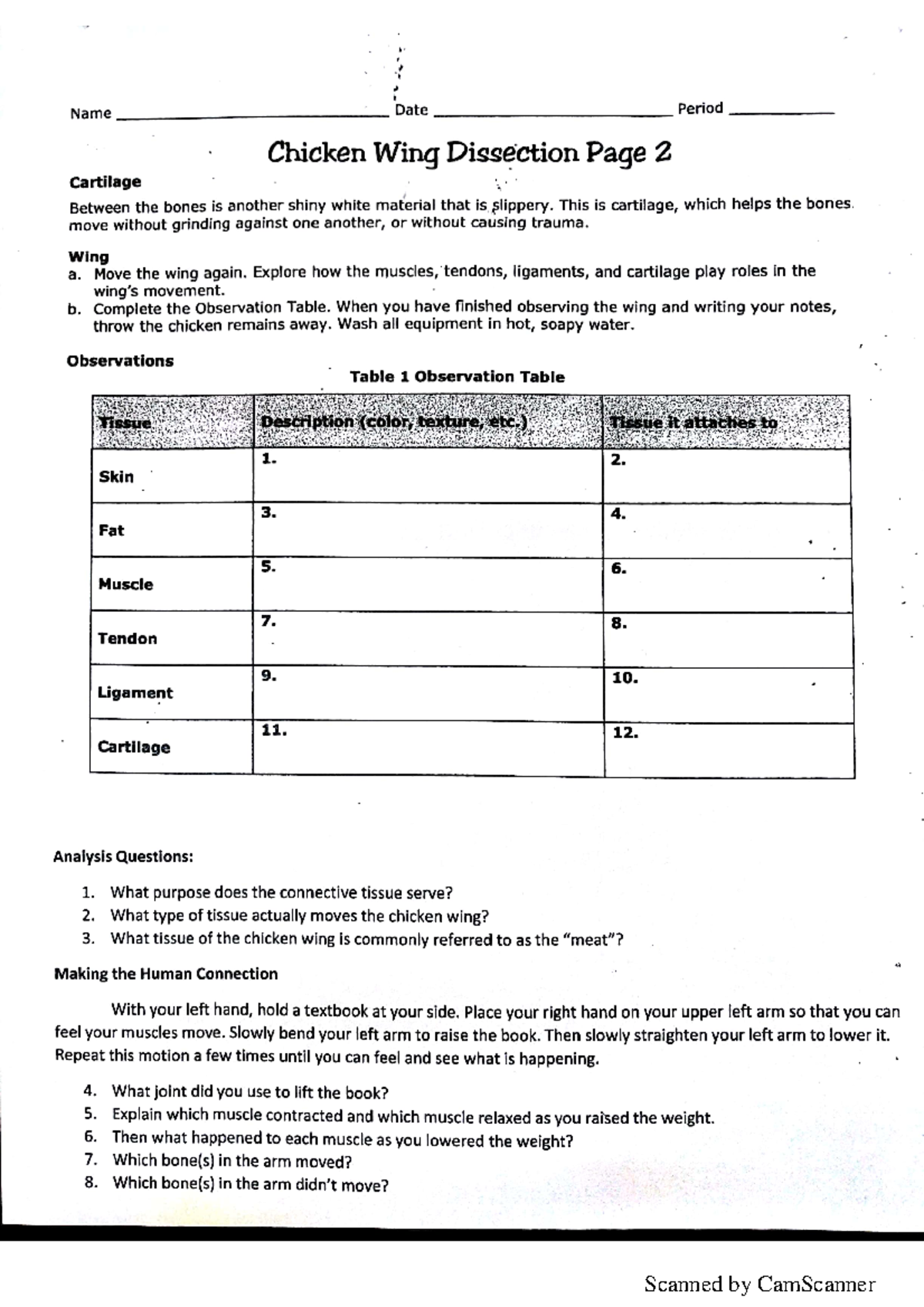 Chicken wing dissection questions - Name Date Period Chicken Wing ...