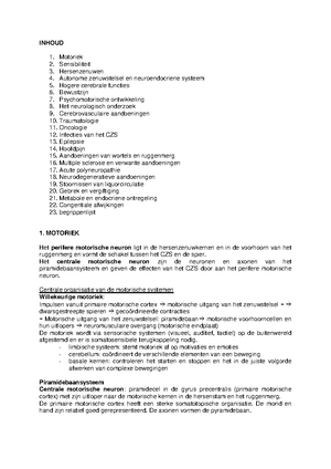 Zenuwbanen - Tractus corticospinalis (piramidebaan): Motorische schors ...