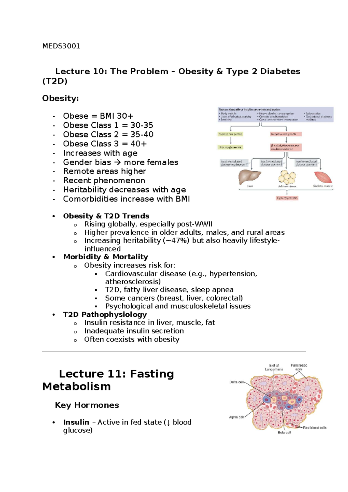 MEDS3001 Lecture Summary: Obesity, T2D, and Metabolic Mechanisms - Studocu