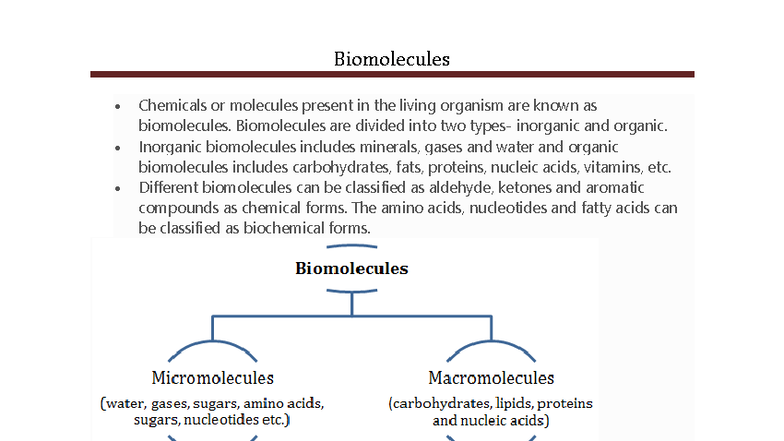 Biomolecules: Class 11 Biology Notes on Structure and Function - Studocu