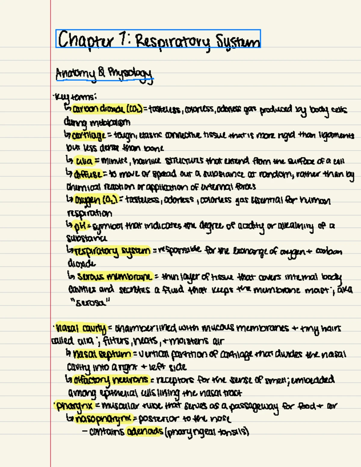 Medical Terminology Suffixes - Chapter 2:Suffixes compound words:words ...