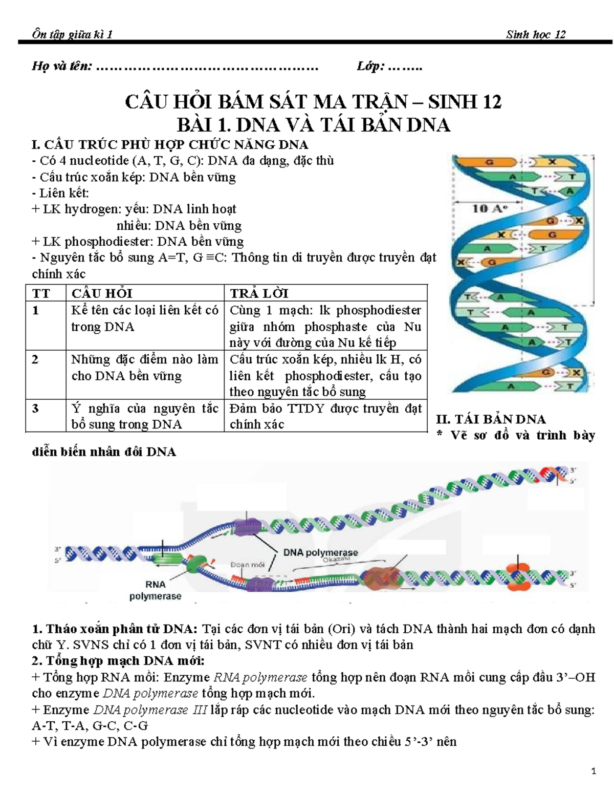 Ôn Tập Giữa Kỳ 1 Sinh Học 12 - DNA và Tái Bản DNA - Studocu