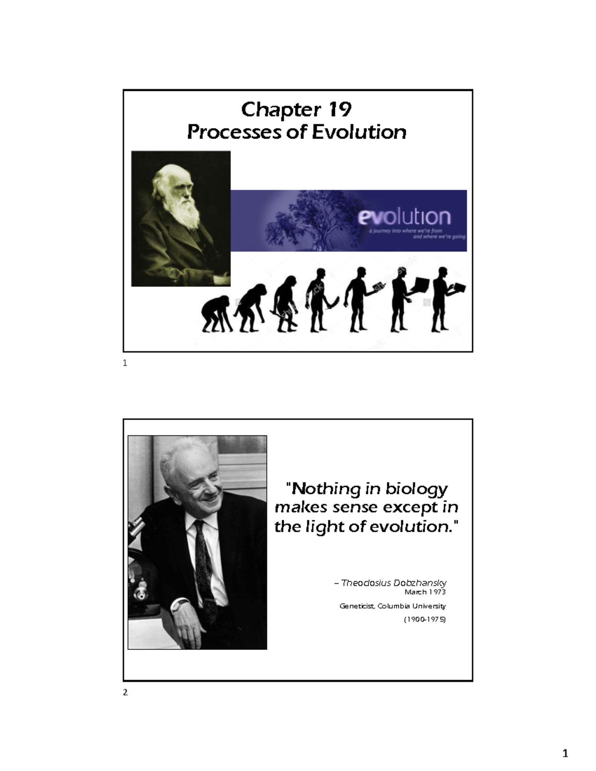 SHU 1211 Chapter 19: Processes of Evolution and Key Concepts - Studocu