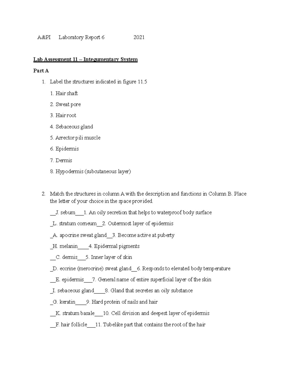 A&P I Lab Report 6: Integumentary System Analysis 2021 - Studocu