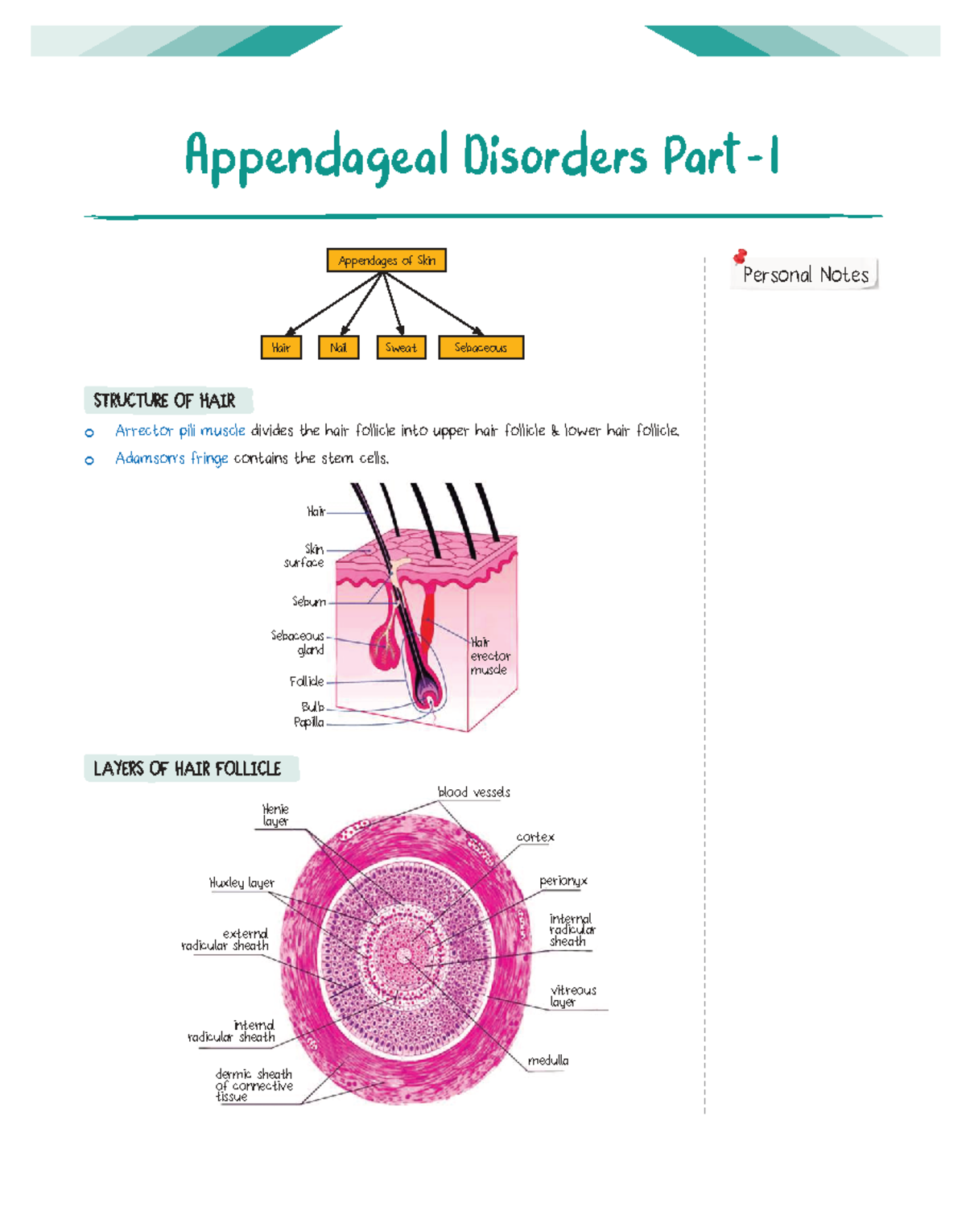 Appendageal Disorders in Dermatology: Hair, Nails, and Sweat Glands ...