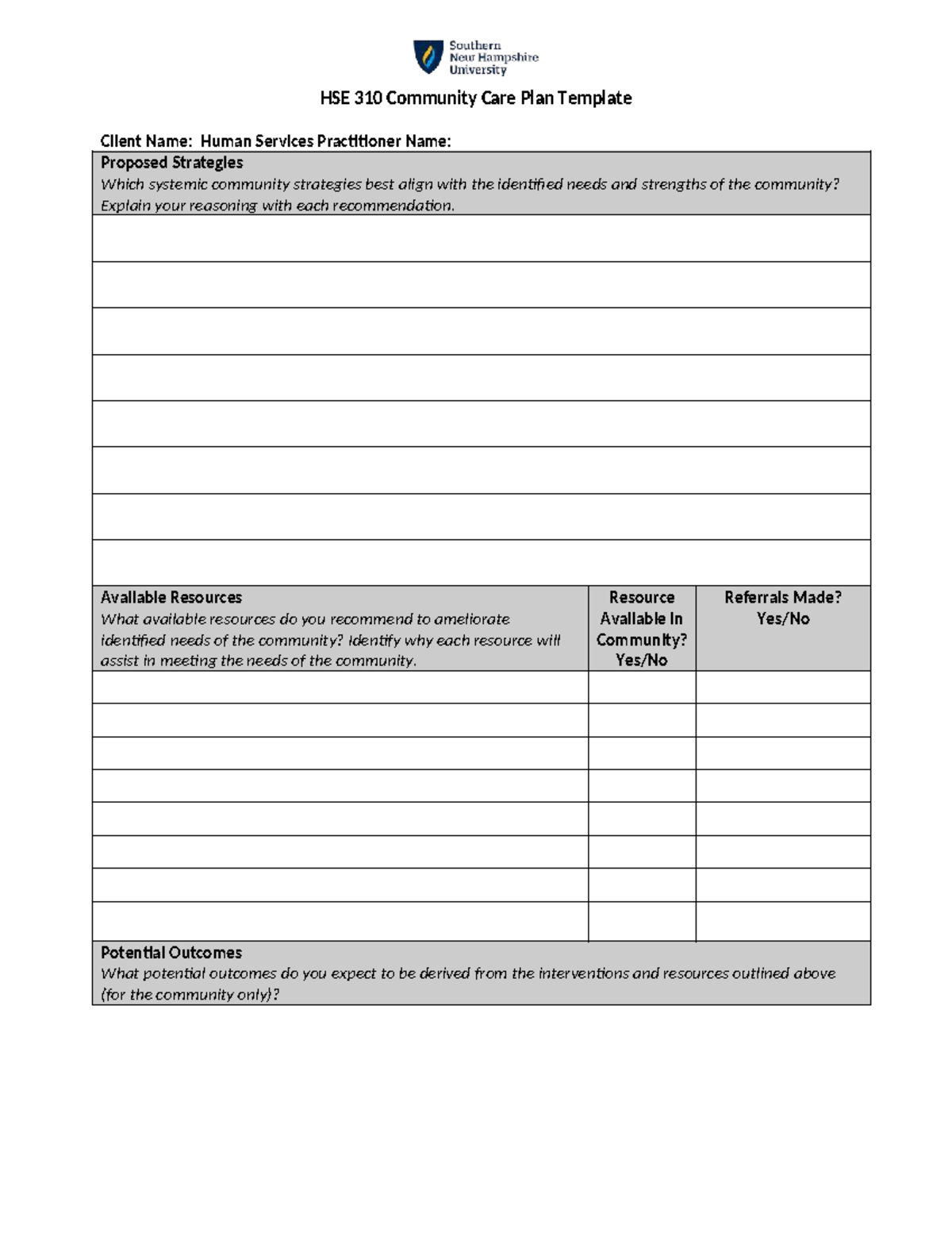 HSE 310 Community Care Plan Template: Strategies & Resources Analysis ...
