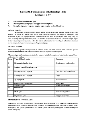 ENTOmology notes pdf-converted - Prof. Mochi A. S. (K. K. Wagh College ...