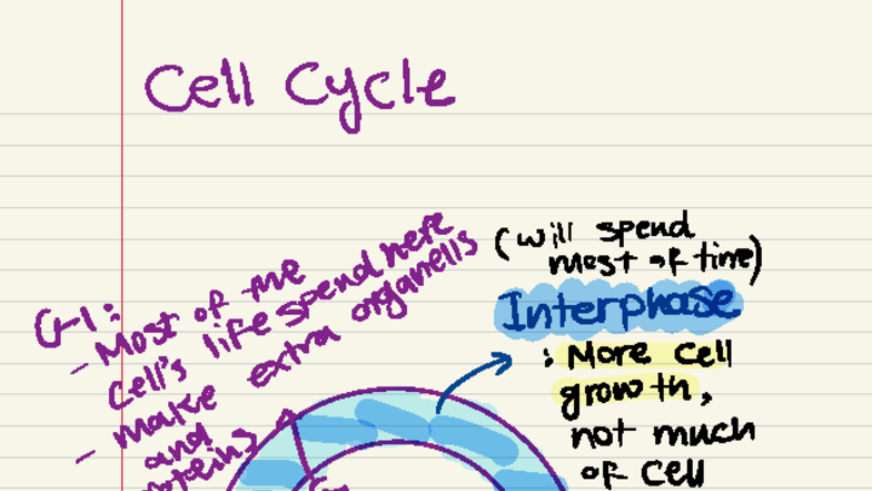 Cell Division: Understanding the Cell Cycle and Mitosis (Biology 101) - Studocu