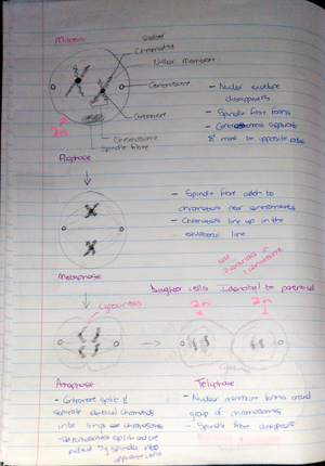 [Solved] how to calculate the volume in cm cubed and mm cubed of ...