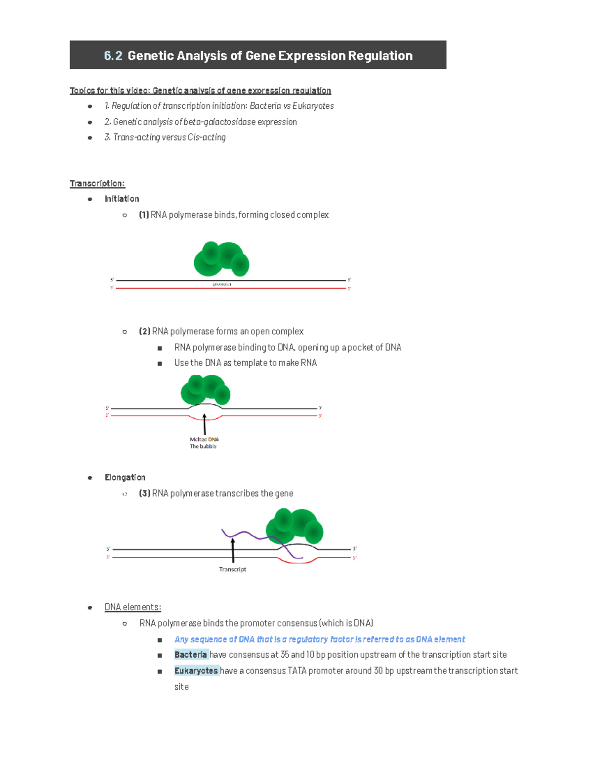 Biology 2581 B (12) - Genetic Analysis of Gene Expression Regulation ...