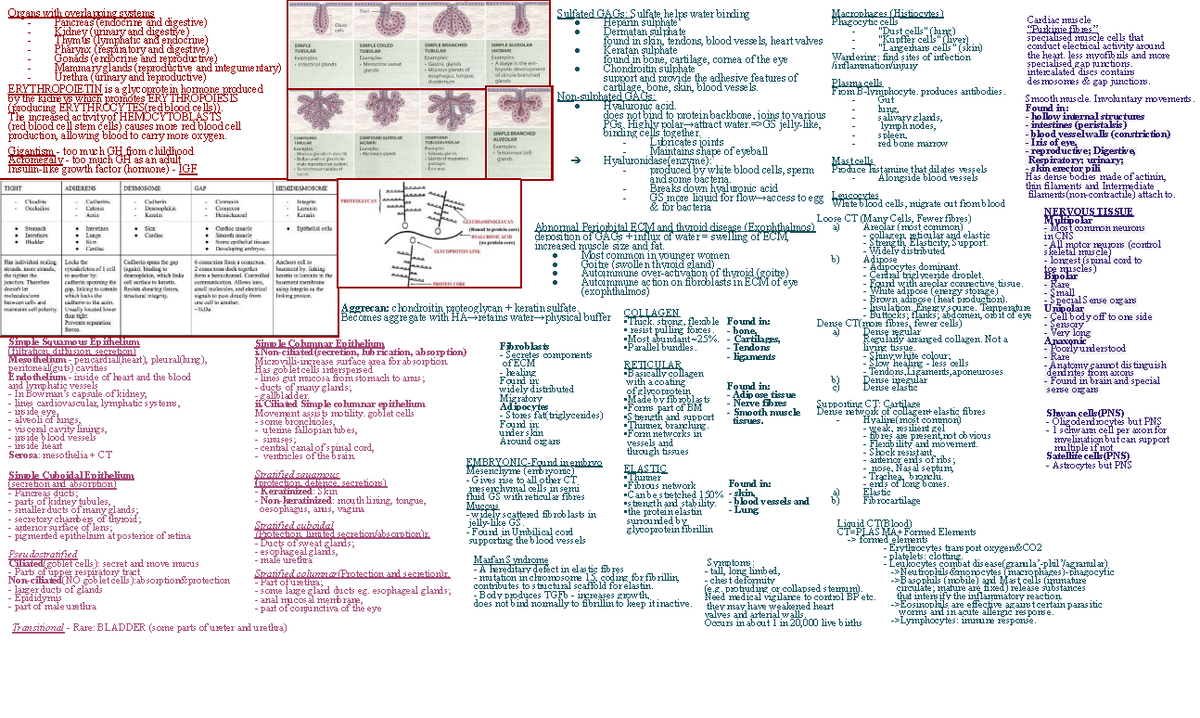 Biology Cheat Sheet: Overlapping Organ Systems and Functions - Studocu