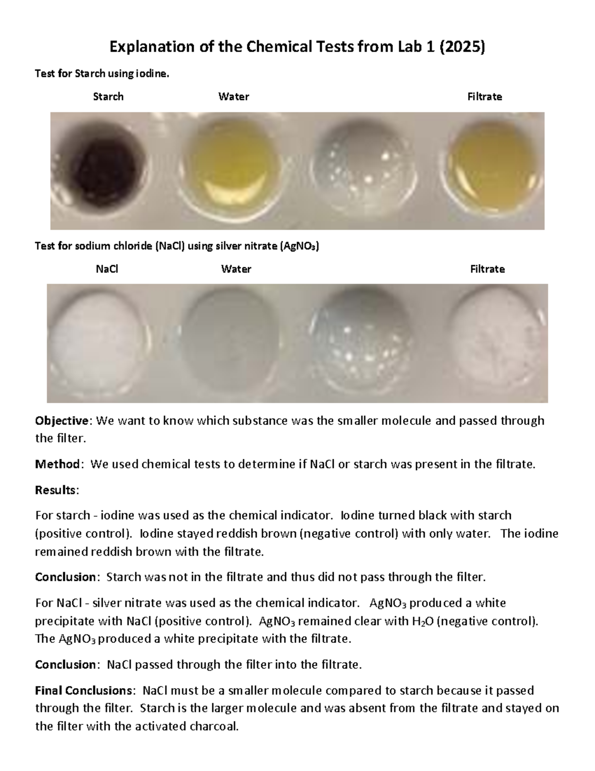 Chemical Tests for Starch and NaCl: Lab Report (2025) - Studocu