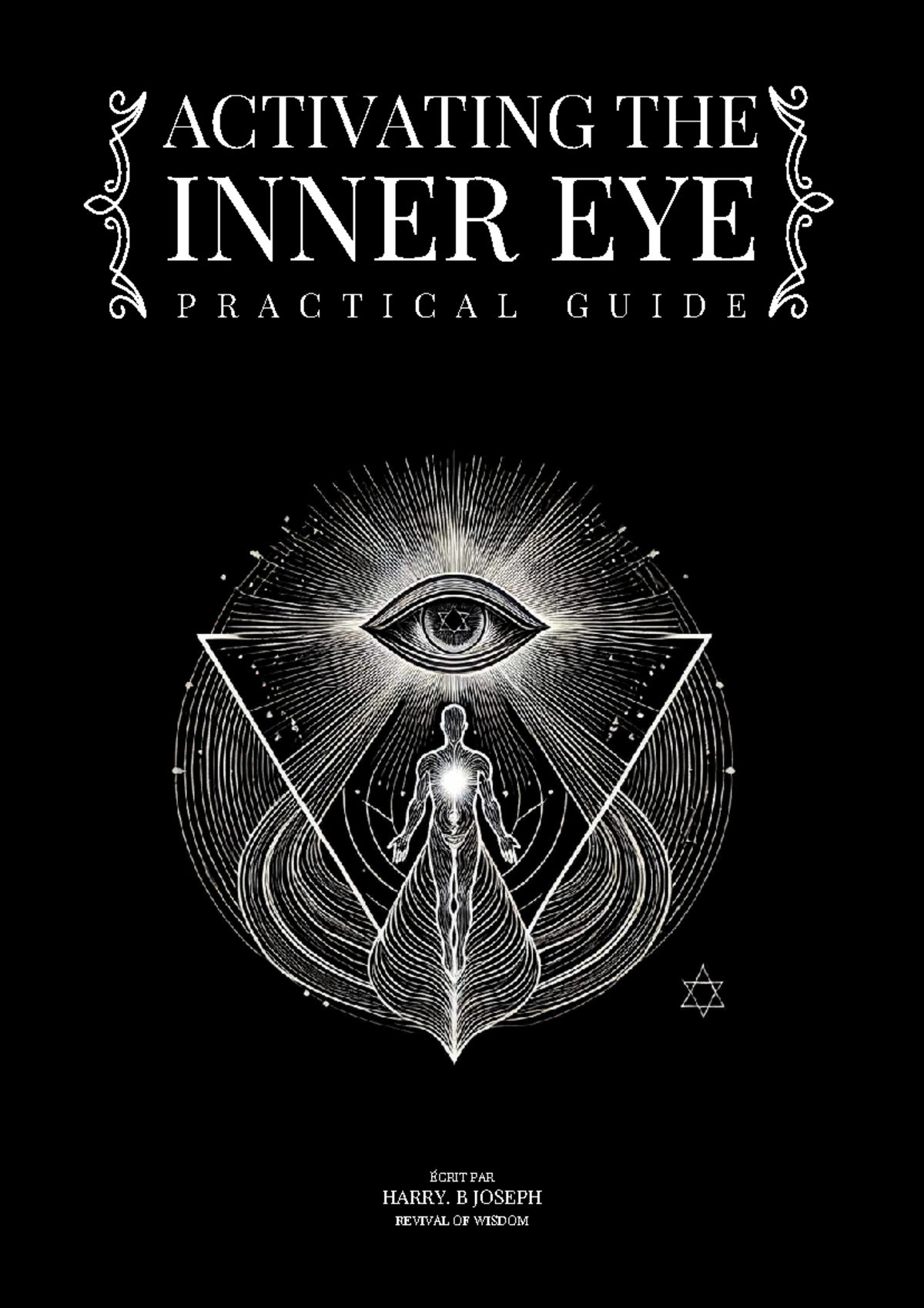 Activating the Inner Eye: A Practical Guide for Enhanced Perception ...