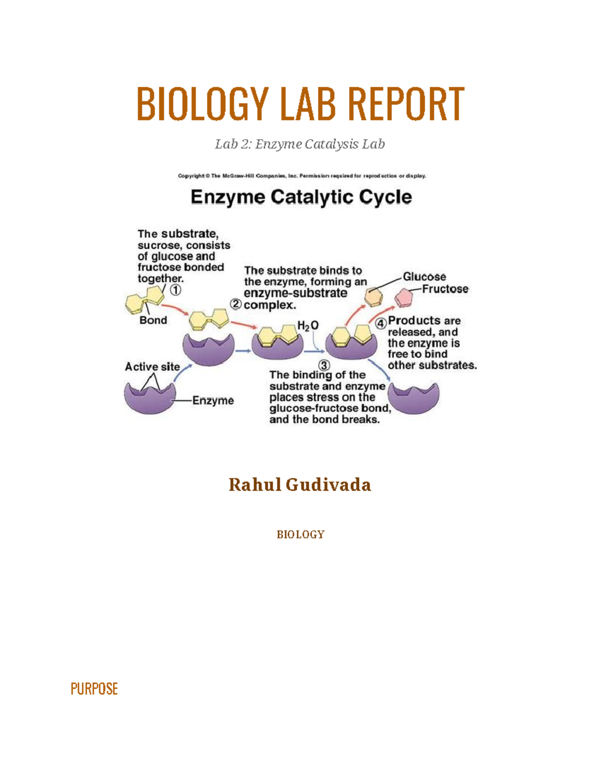 BIO 101: Enzyme Catalysis Lab Report - Investigating Reaction Rates ...