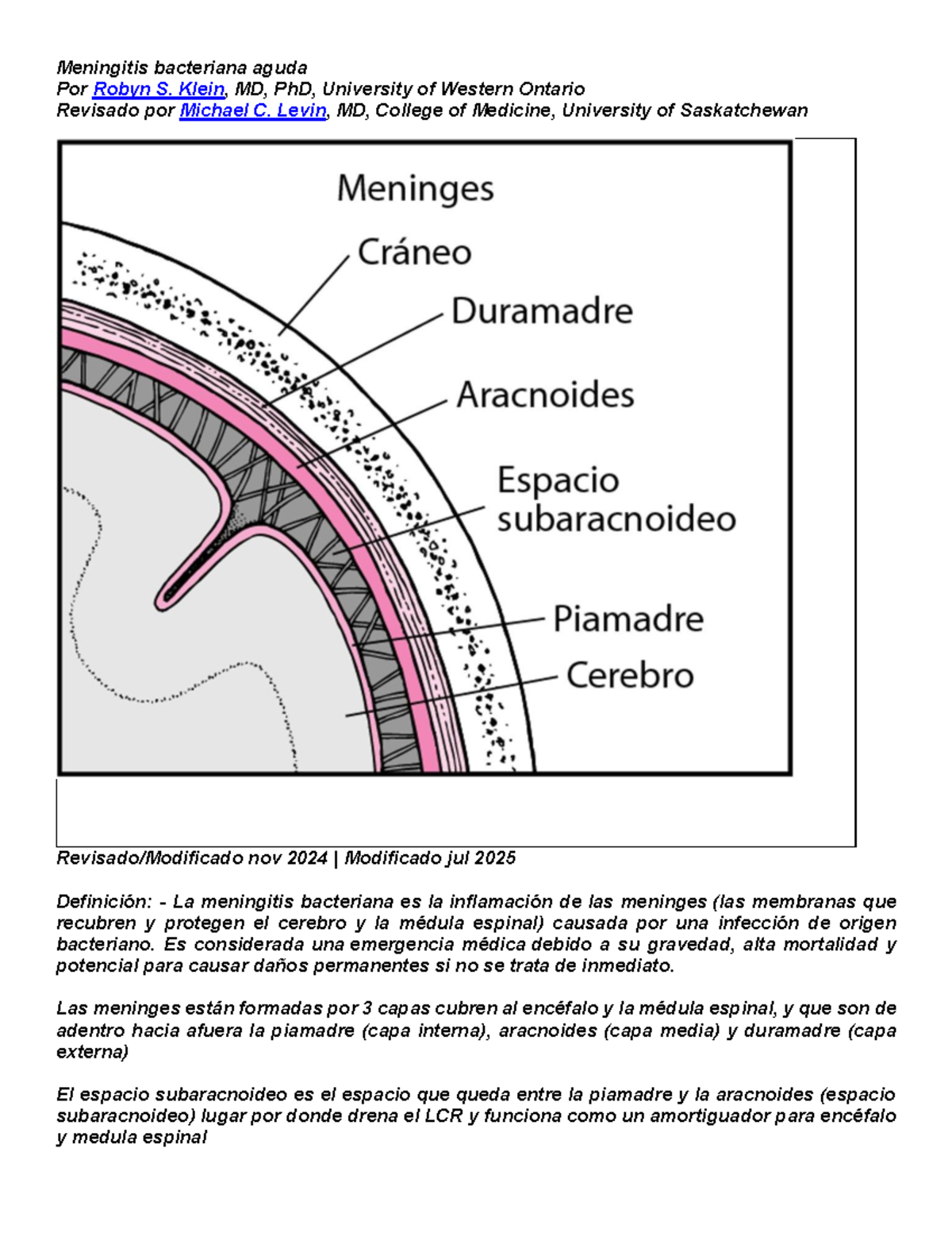 Meningitis Bacteriana Aguda: Definición, Diagnóstico y Tratamiento ...