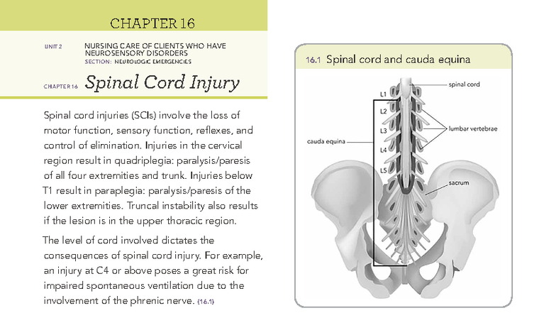 CHAPTER 16 UNIT 2: NURSING CARE FOR NEUROSENSORY DISORDERS - SPINAL ...