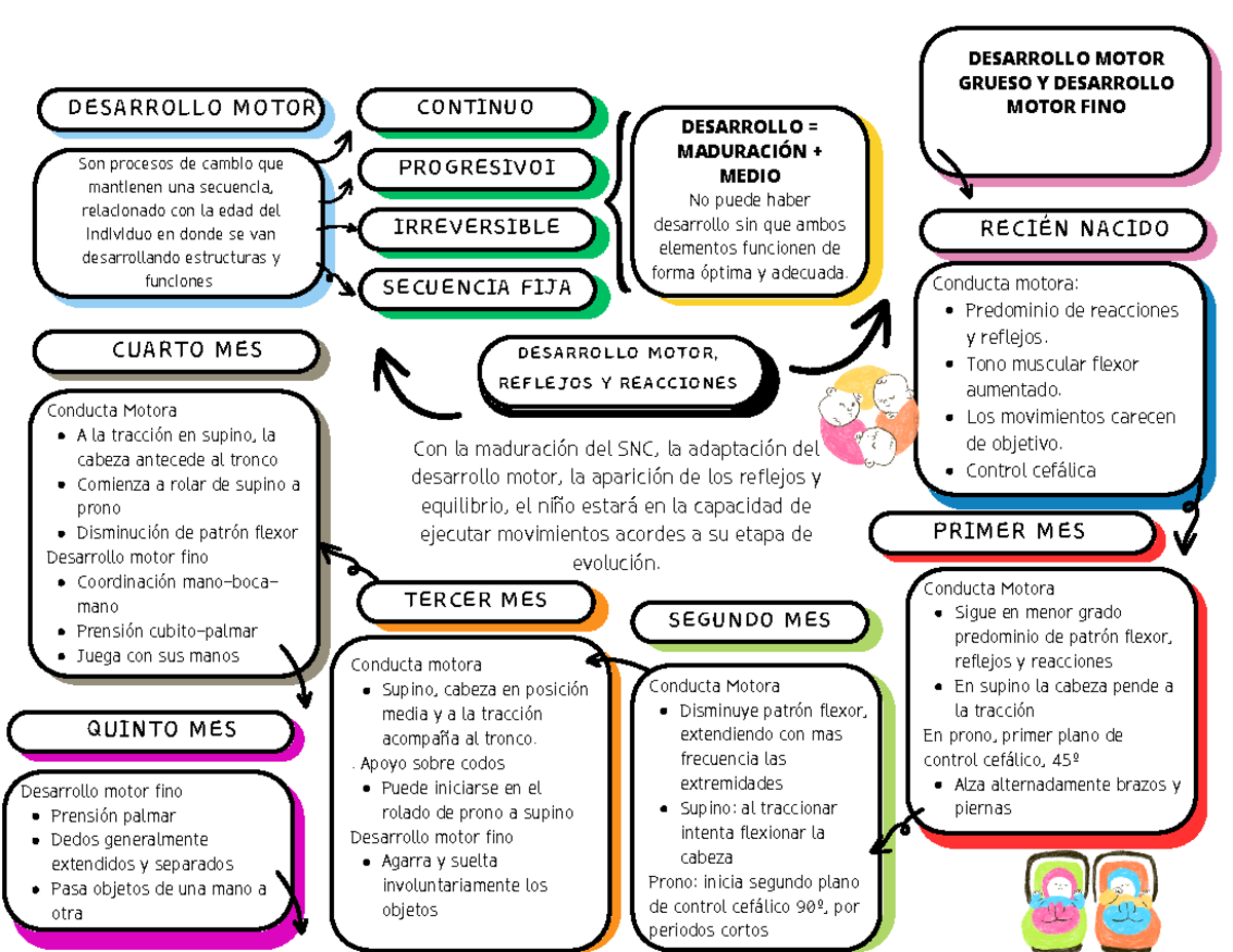 Desarrollo Motor, Reflejos y Reacciones: Guía Completa del Primer Año ...