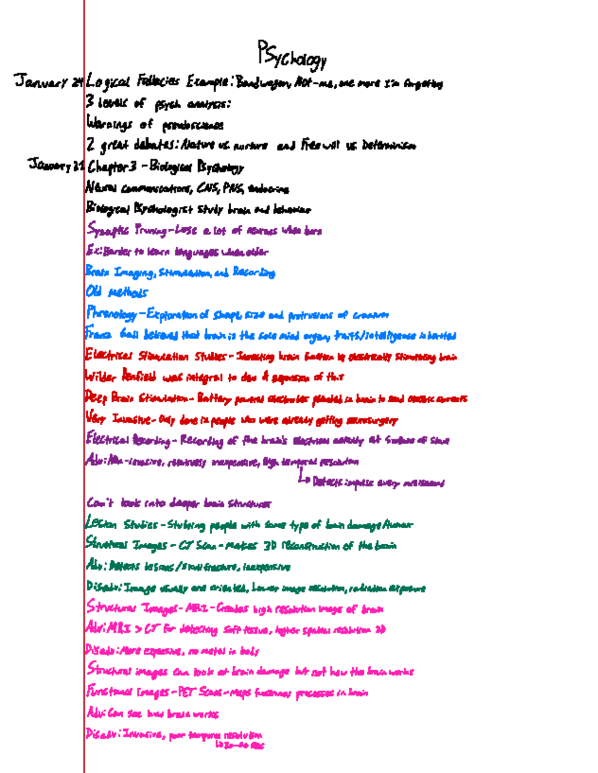 Psychology 30 Final Exam Notes: Logical Fallacies & Brain Function ...