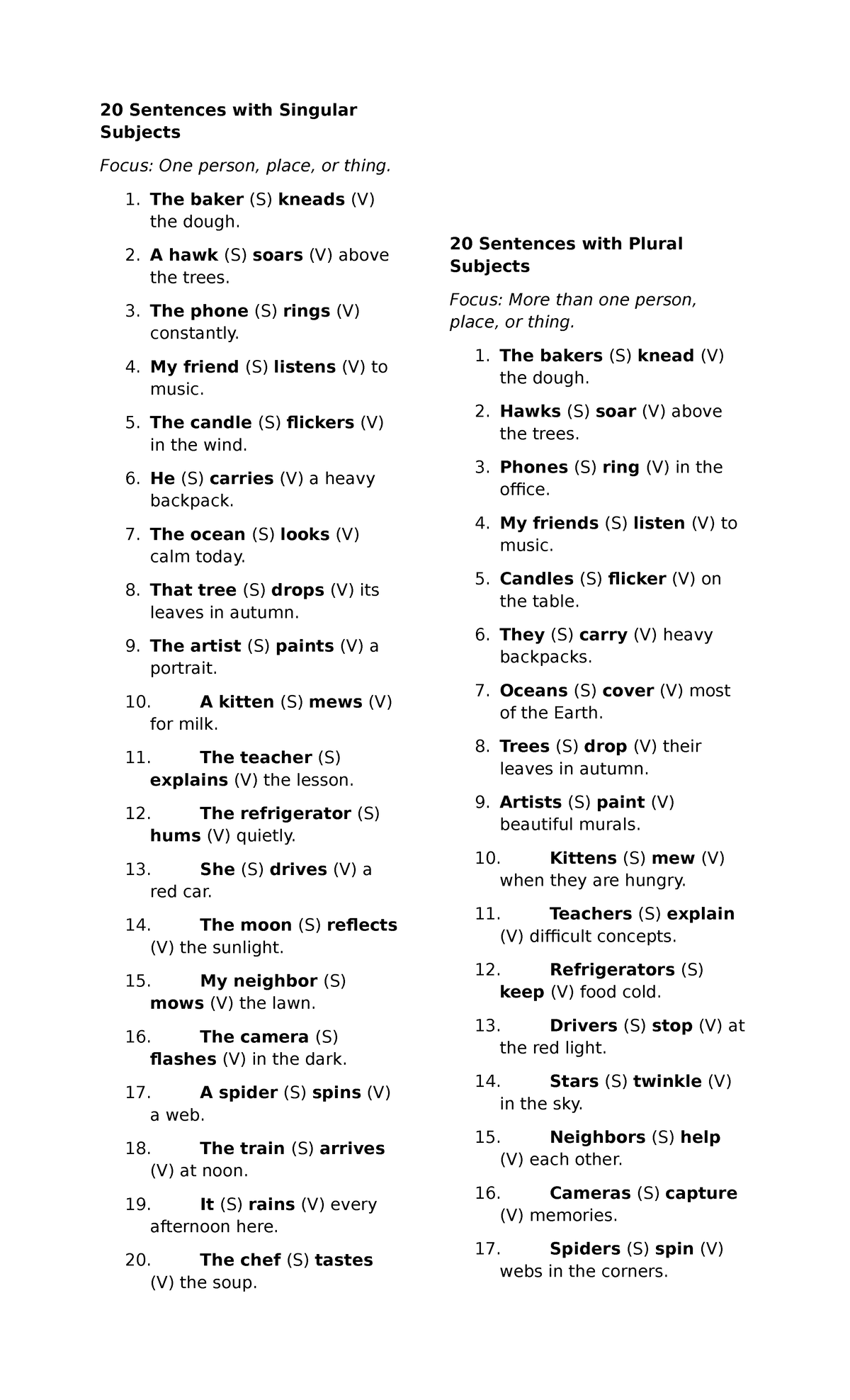 20 Sentences with Singular & Plural Subjects (SV) - Studocu