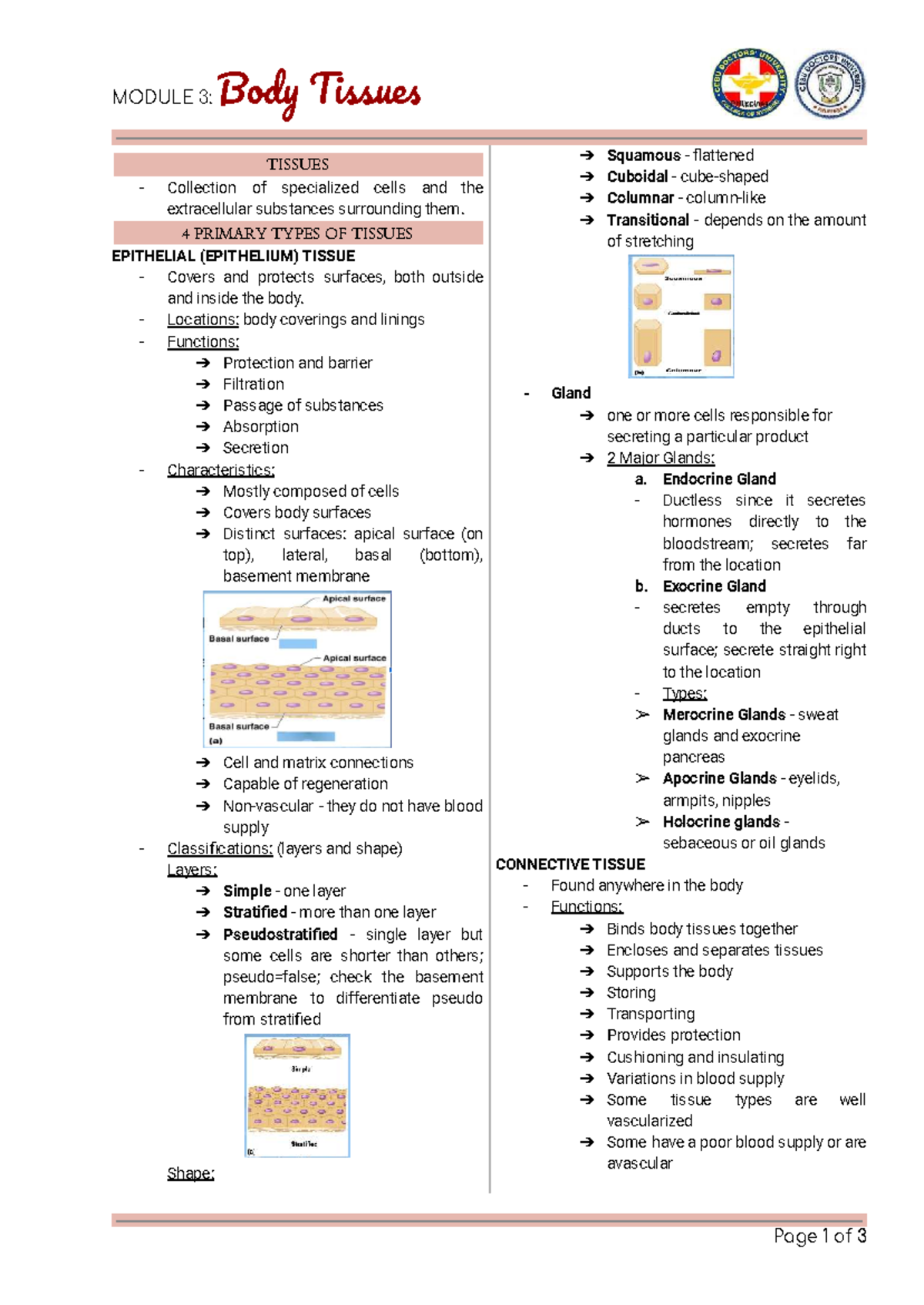 MODULE 3: Body Tissues Overview and Functions (Anaphy 3M) - Studocu