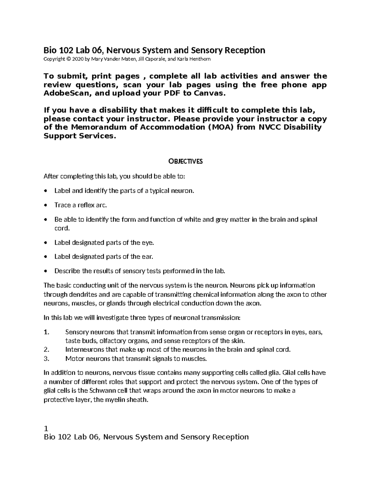 Bio 102 Lab 06, Nervous System and Sensory Reception - Bio 102 Lab 06 ...