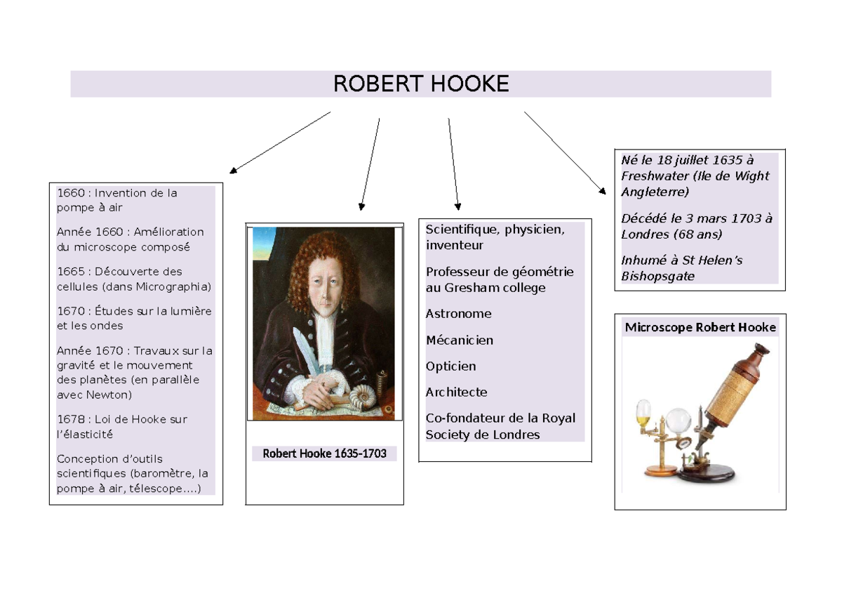 Robert Hooke: Contributions to Science and Inventions - Studocu