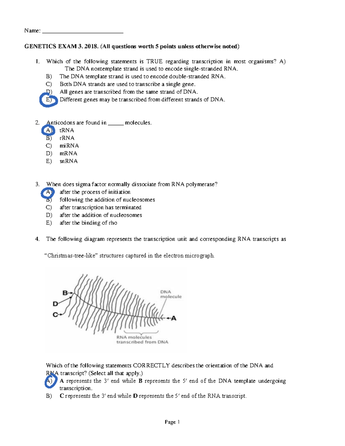 Genetics Exam_3_Practice_Key - Name ...