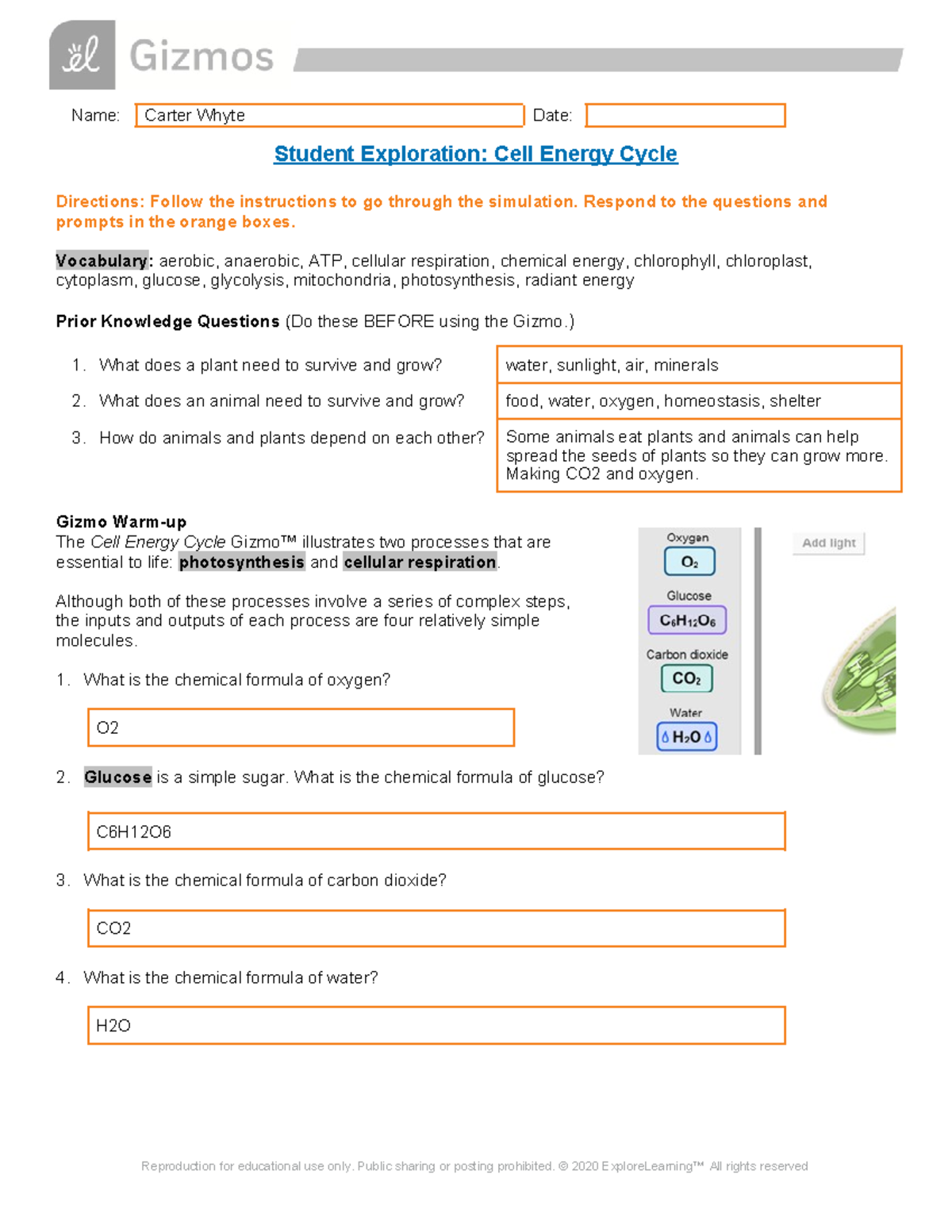 Student Exploration: Cell Energy Cycle - Gizmo Activity Guide - Studocu